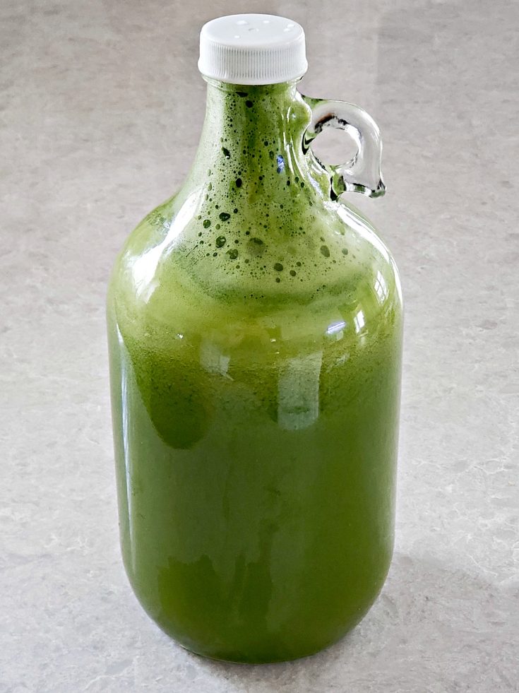 The Best Ginger Green Juice Recipe - Southern Kissed