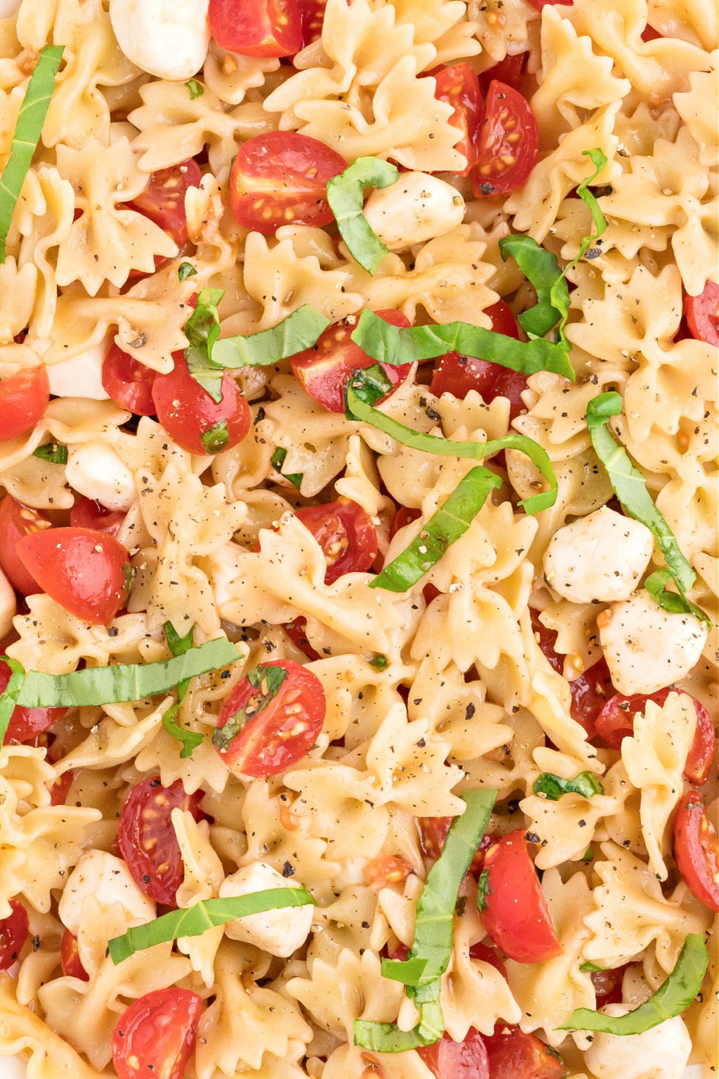 Easy Caprese Pasta Salad Recipe - Southern Kissed