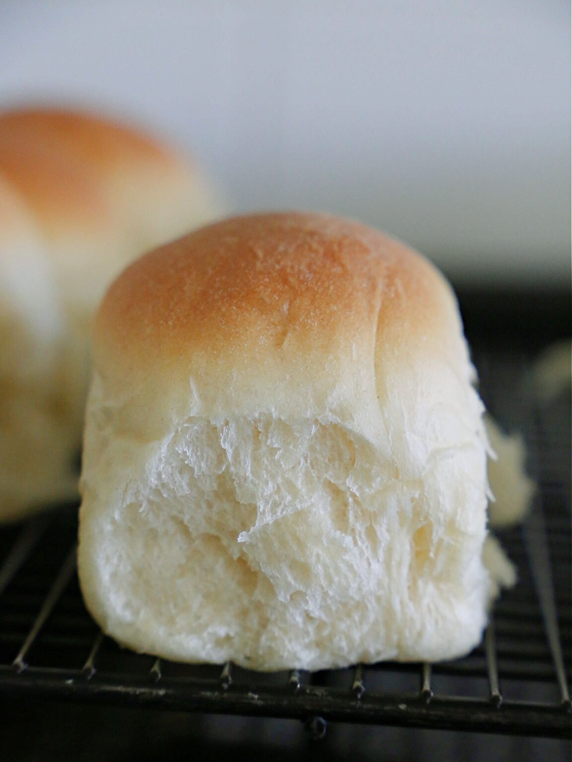 Bread Machine Dinner Rolls Recipe - Southern Kissed
