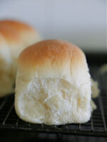 Bread Machine Dinner Rolls Recipe - Southern Kissed