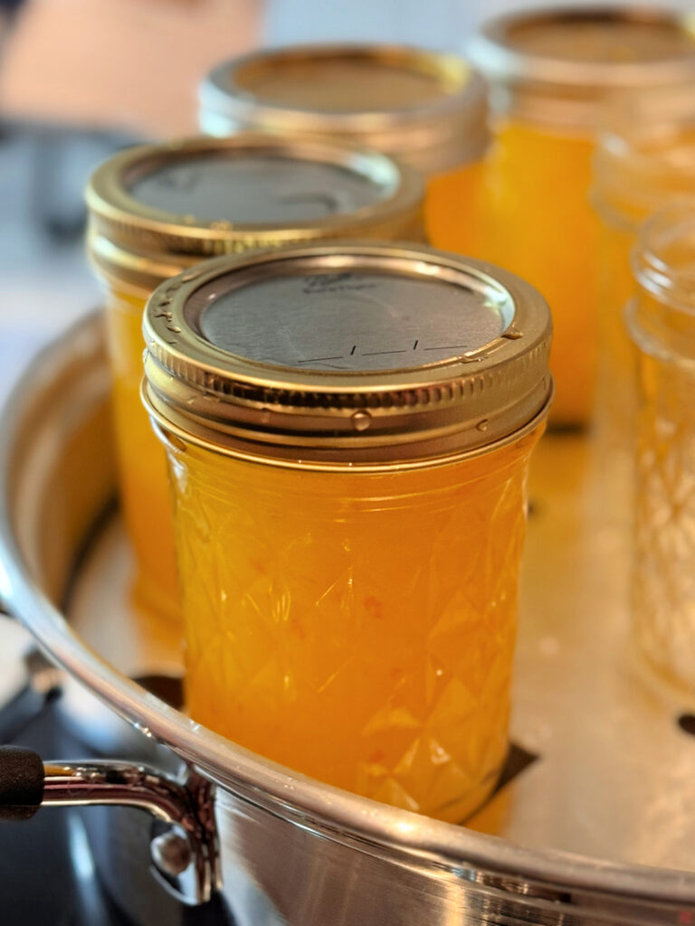 The Best Pineapple Habanero Jelly Recipe
