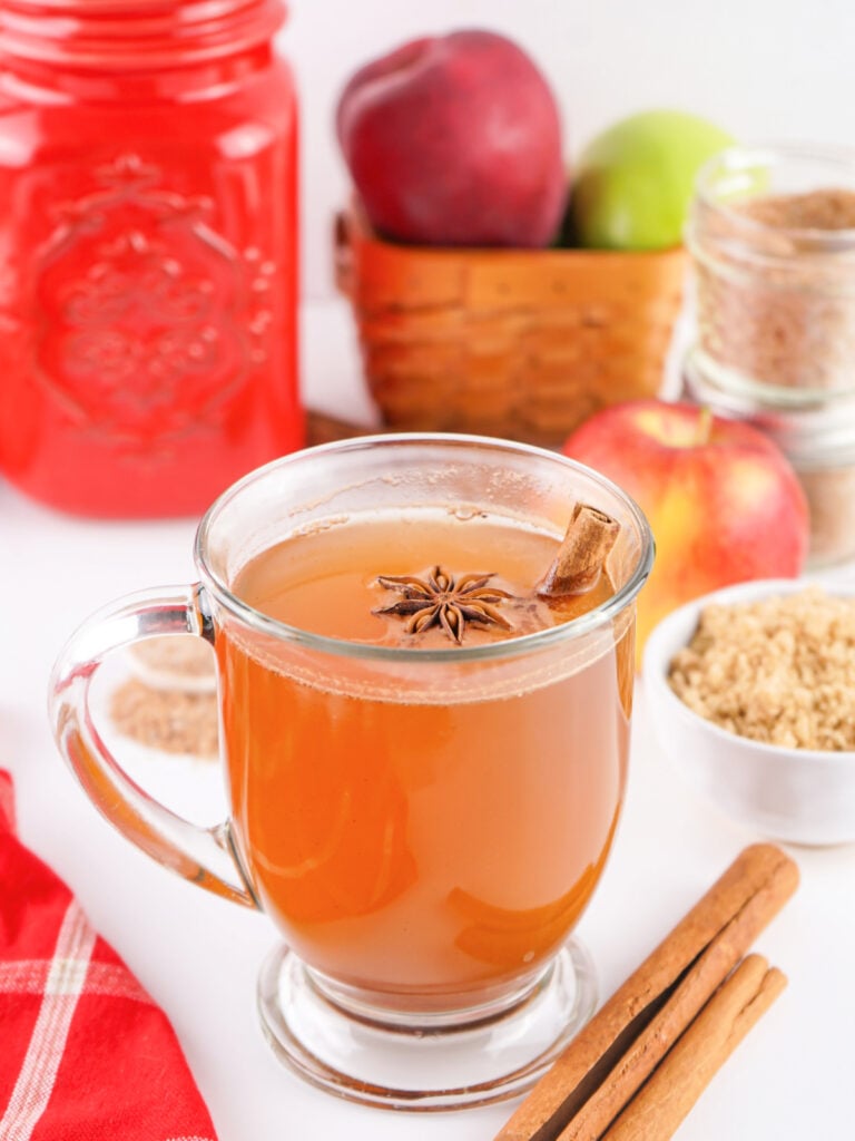Homemade Apple Cider Mix - Southern Kissed